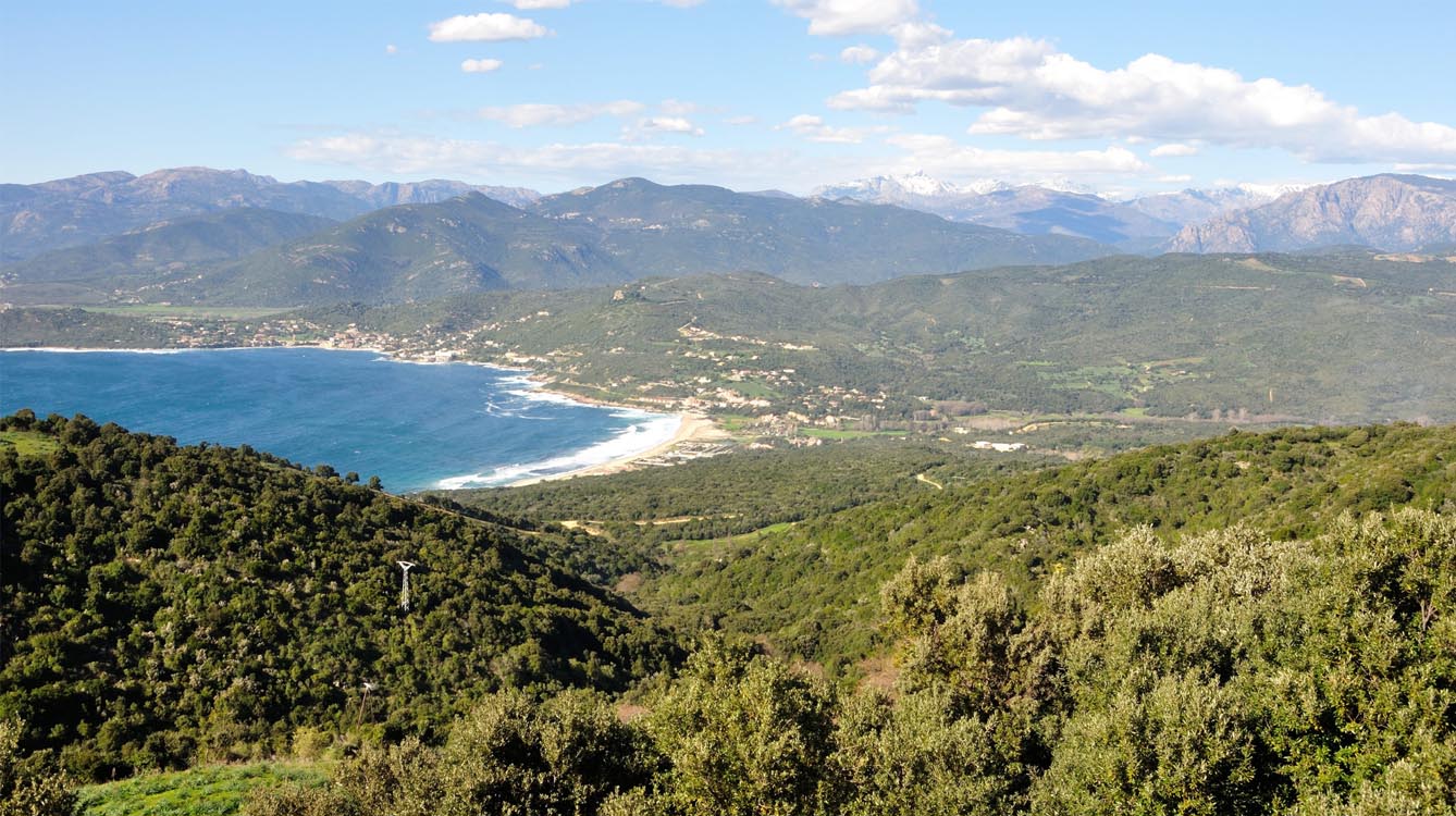 Les 3 Plus Beaux Campings à Calcatoggio | Camping en Corse ici